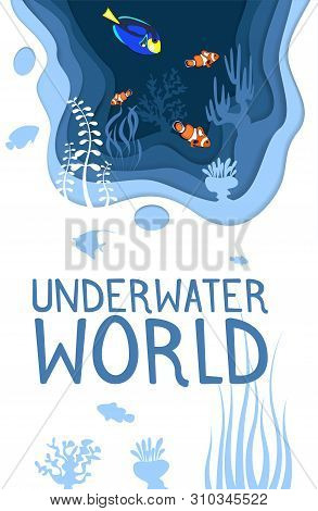 Underwater World Vector & Photo (Free Trial) | Bigstock