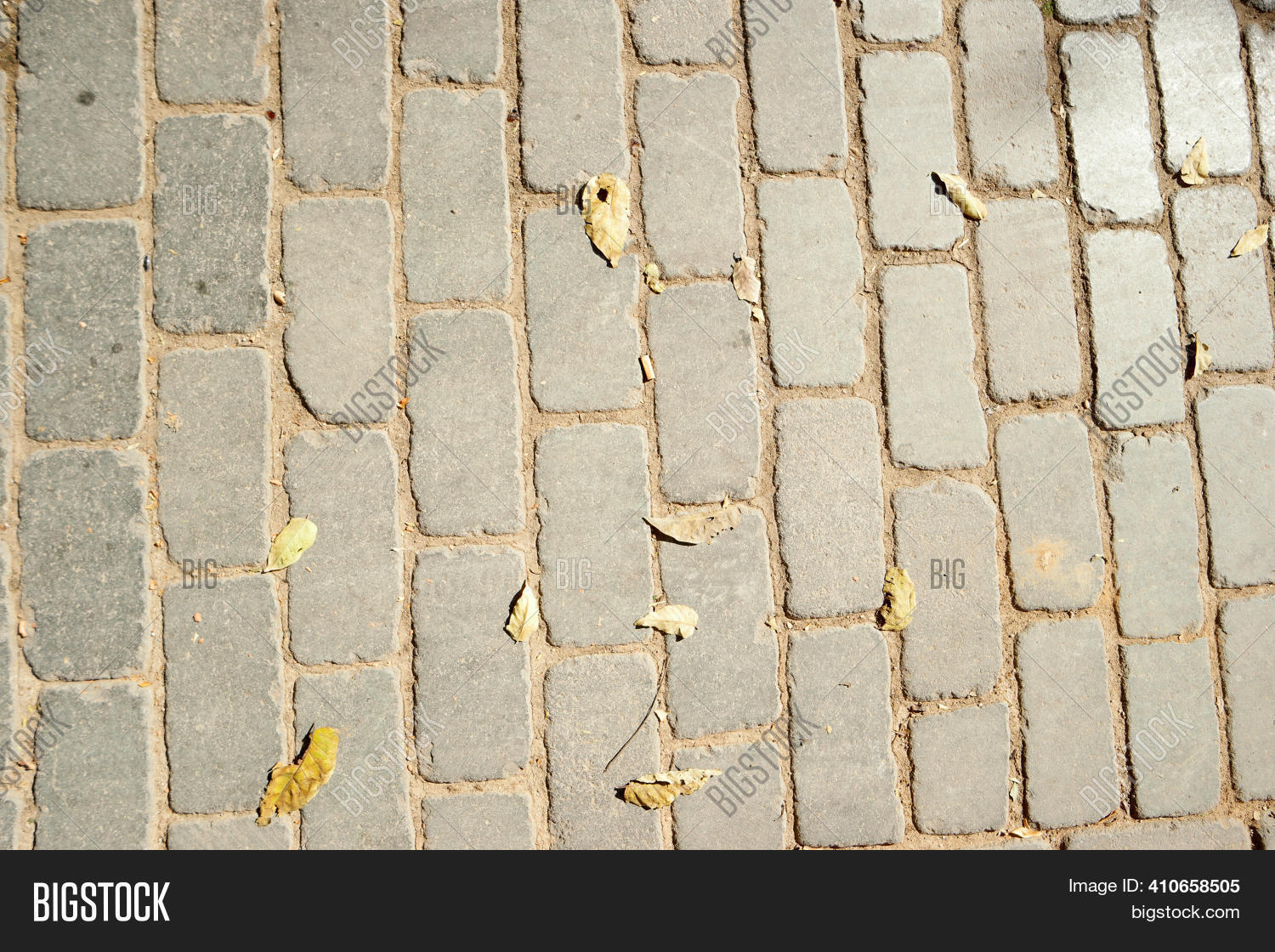 Brick Floor Texture Image & Photo (Free Trial) | Bigstock