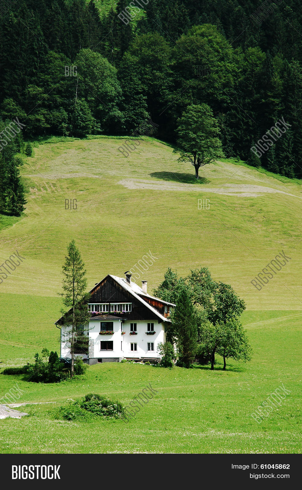 Traditional Submontane Image & Photo (Free Trial) | Bigstock