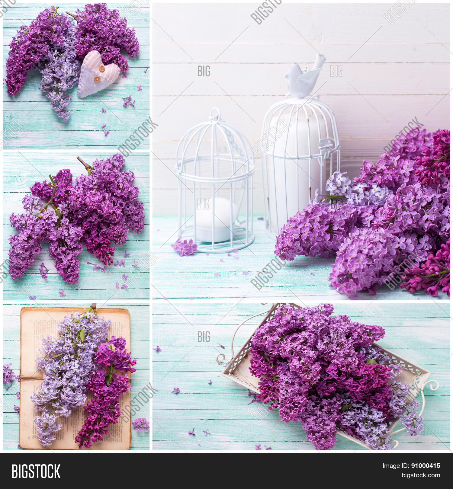 Collage Lilac Flowers Image & Photo (Free Trial) | Bigstock