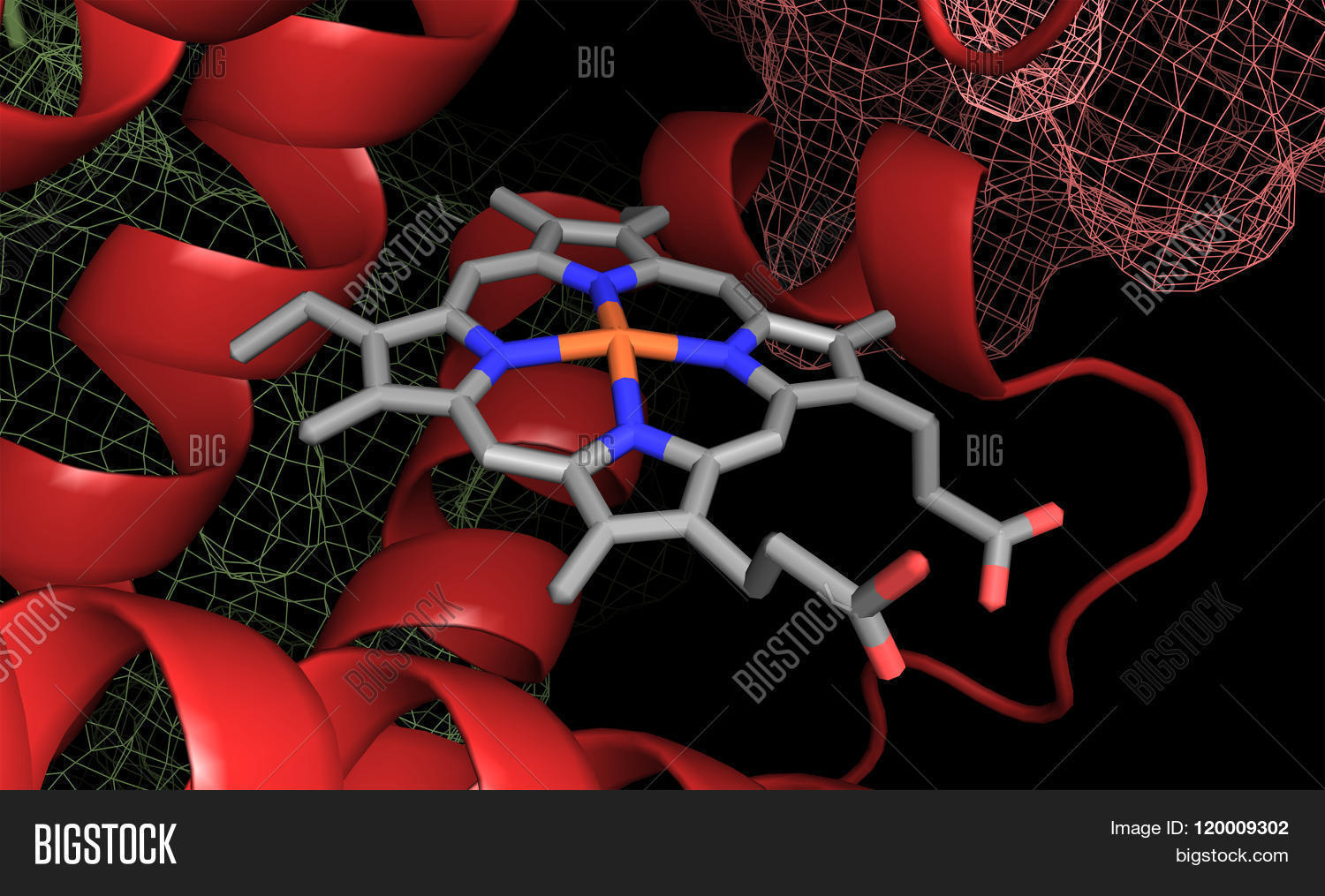 Close Heme Group Image & Photo (Free Trial) | Bigstock