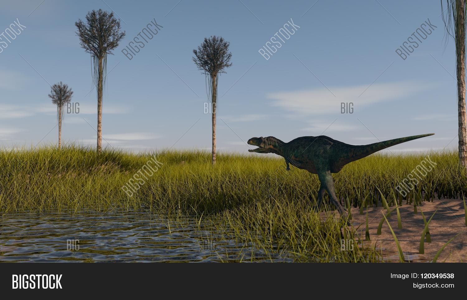 Aucasaurus Swamp Grass Image & Photo (Free Trial) | Bigstock