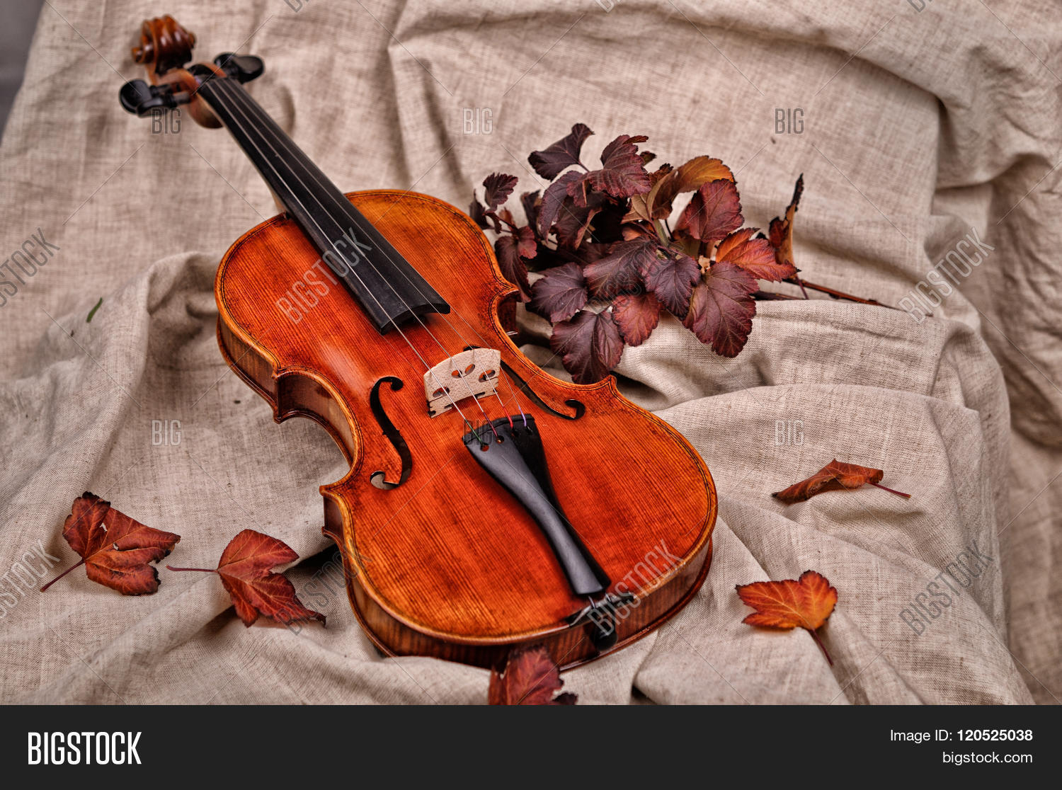 Isolated Violin Autumn Image & Photo (Free Trial) | Bigstock