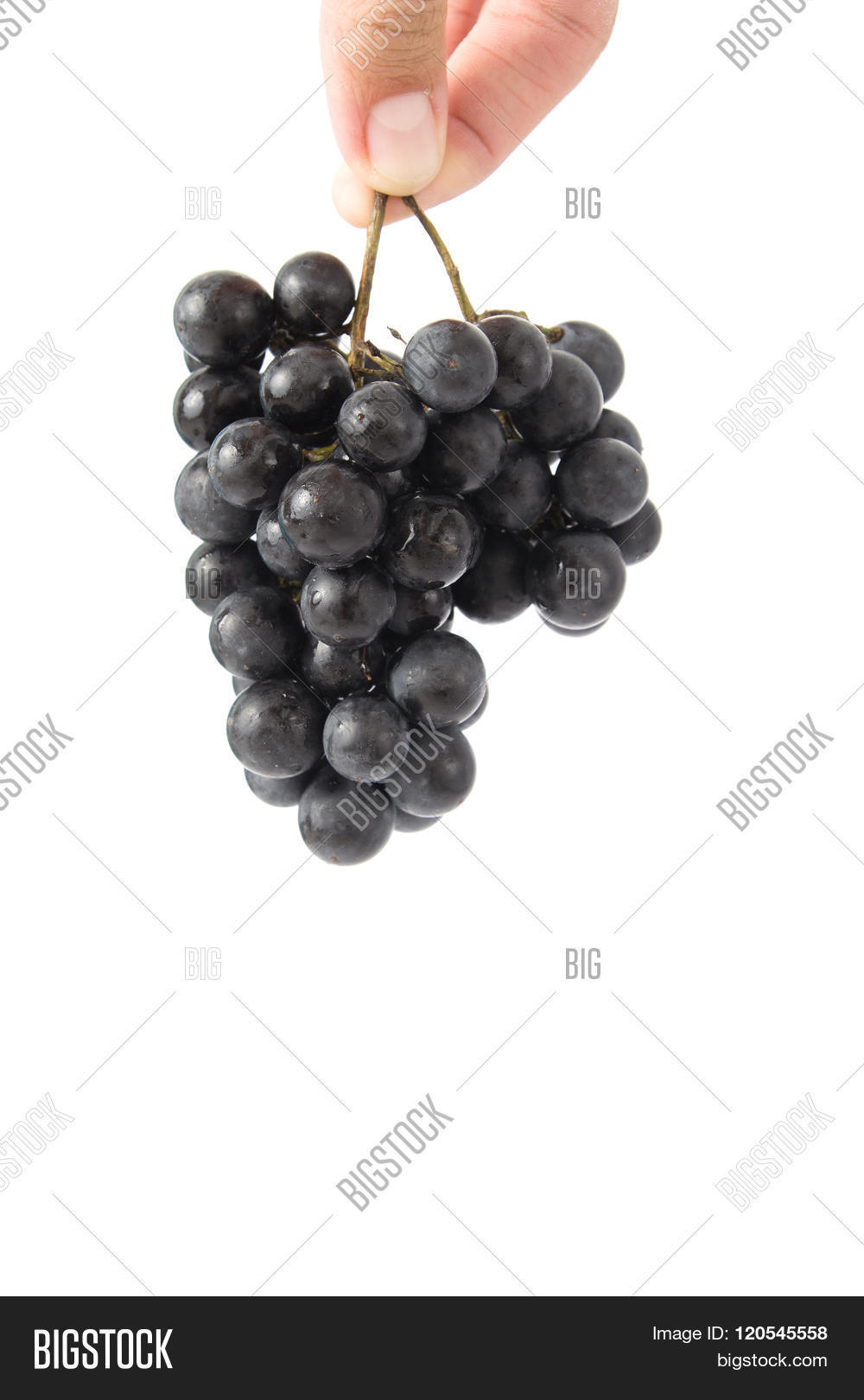 Bunch Ripe Grapes Hand Image & Photo (Free Trial) | Bigstock