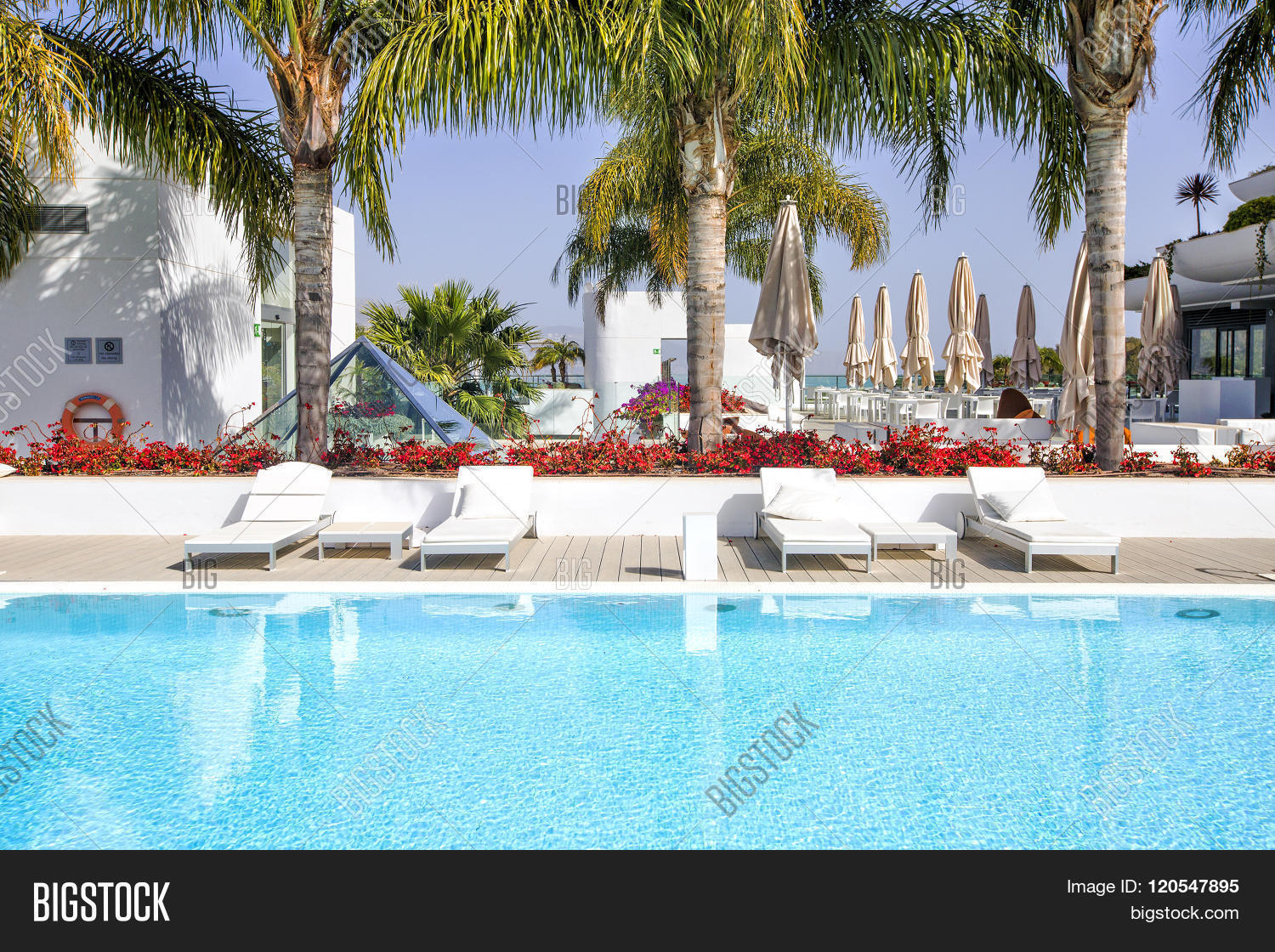 Swimming Pool Area Image & Photo (Free Trial) | Bigstock
