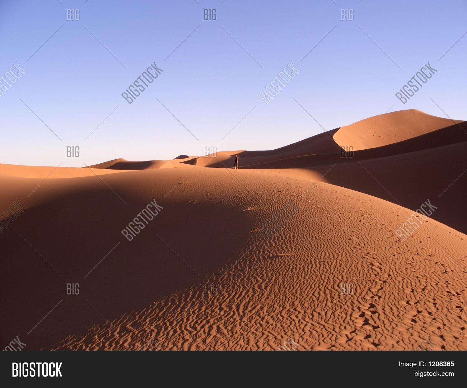 Sahara Image & Photo (Free Trial) | Bigstock