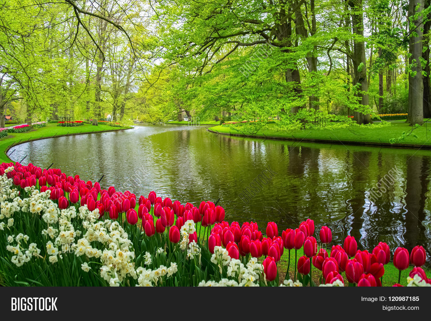 Beautiful Spring Image & Photo (Free Trial) | Bigstock