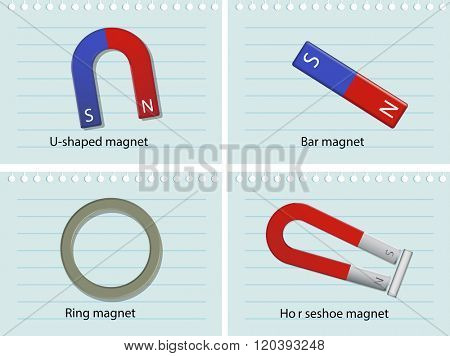 Four Types Magnets Vector & Photo (Free Trial) | Bigstock