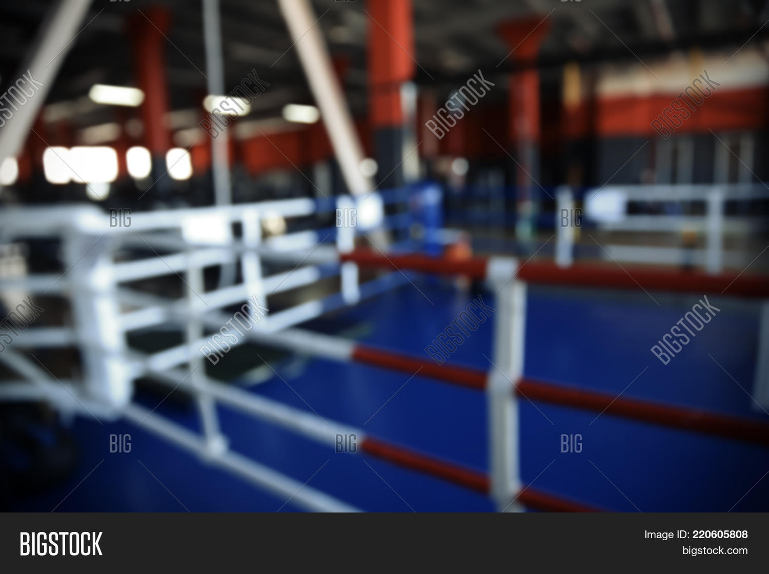 inside empty boxing ring