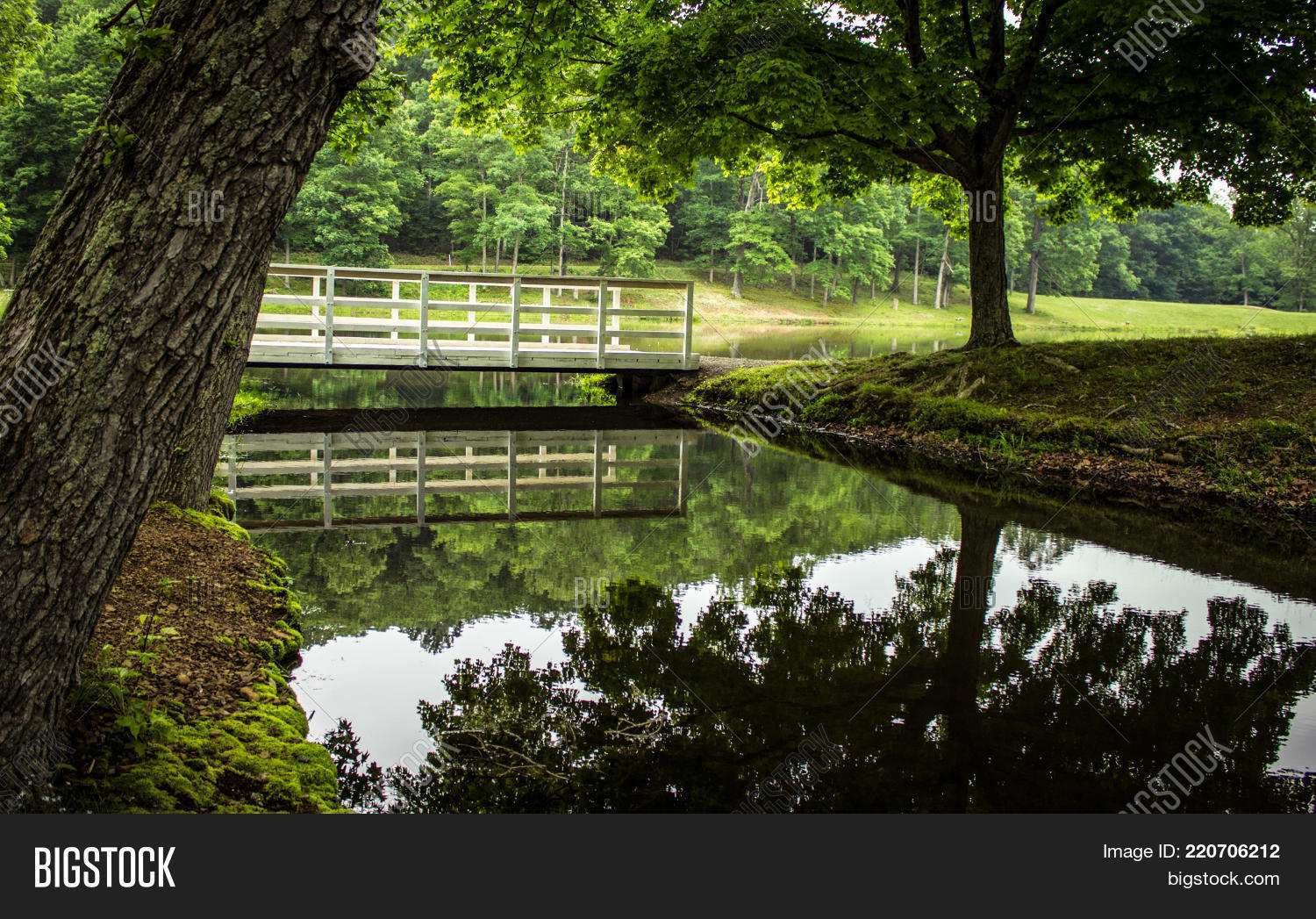 Beautiful Ohio Forest Image & Photo (Free Trial) | Bigstock
