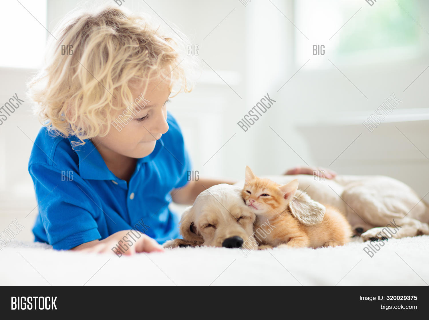 Child, Dog Cat. Kids Image & Photo (Free Trial) | Bigstock