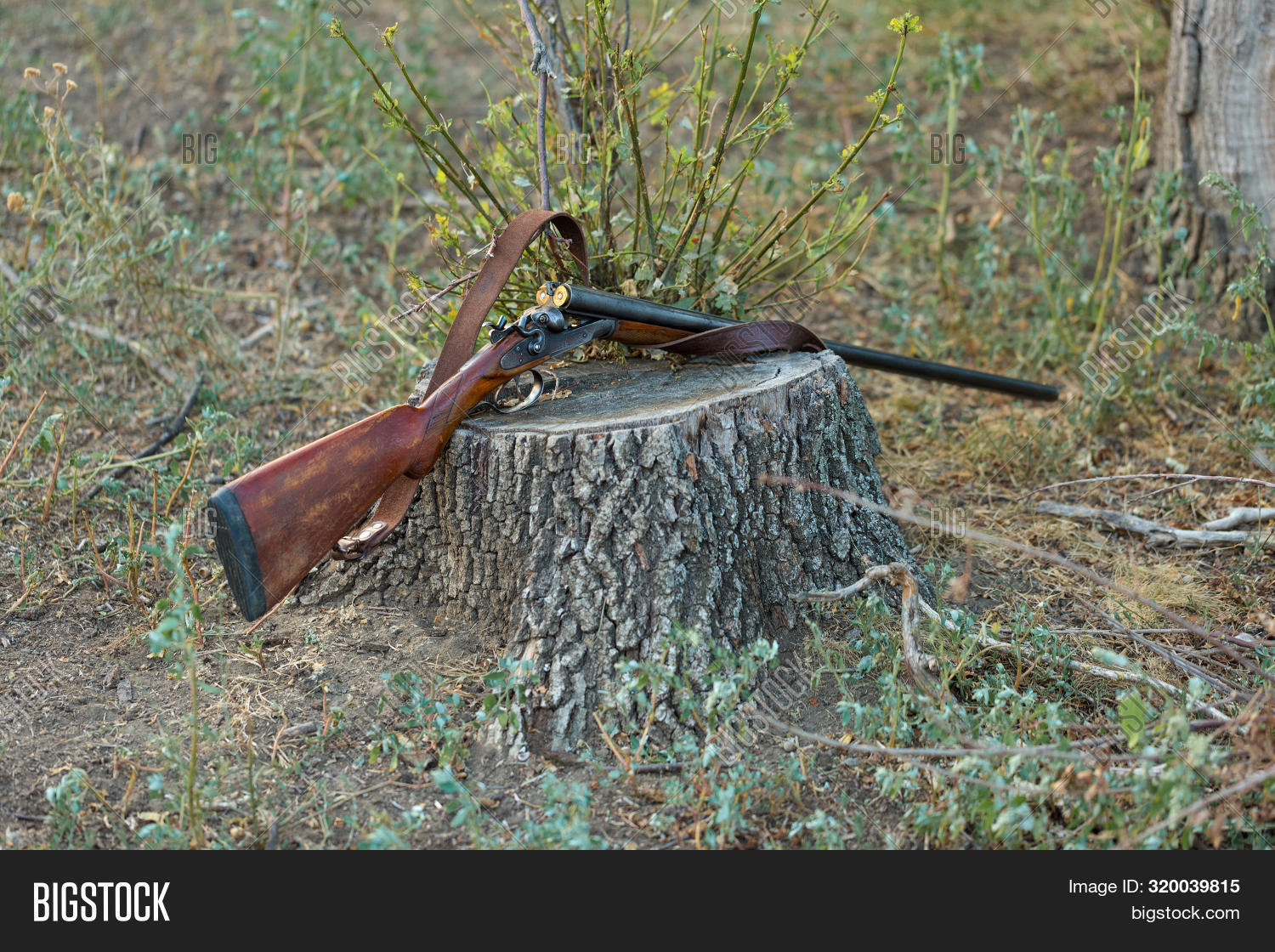 Hunting Rifle On Grass Image & Photo (Free Trial) | Bigstock
