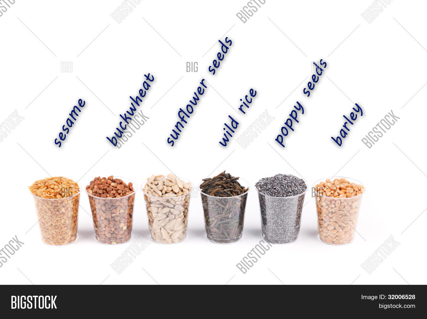 Examples Foods Rich Image & Photo (Free Trial) | Bigstock