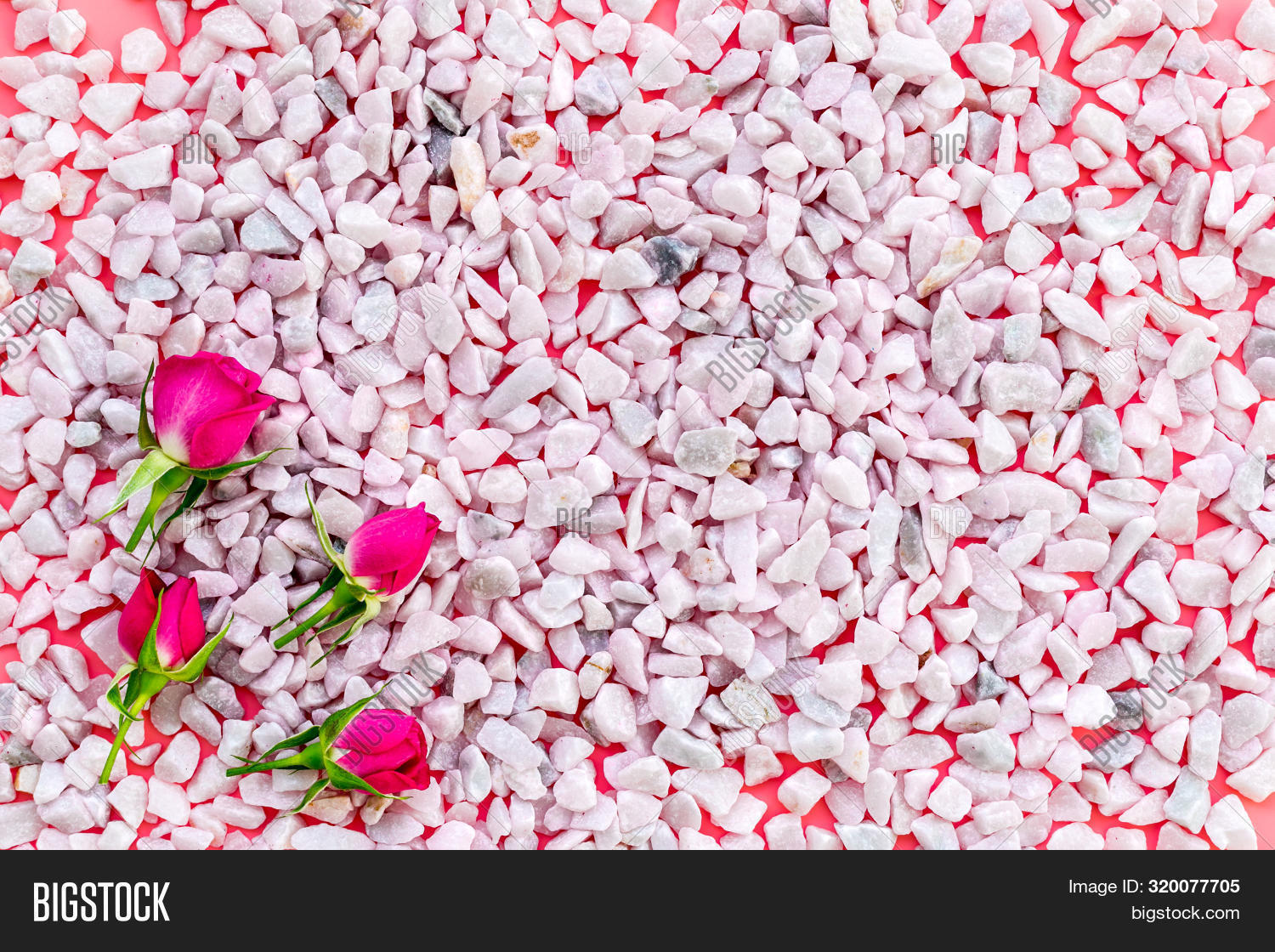 Pattern Pebble Flowers Image & Photo (Free Trial) | Bigstock