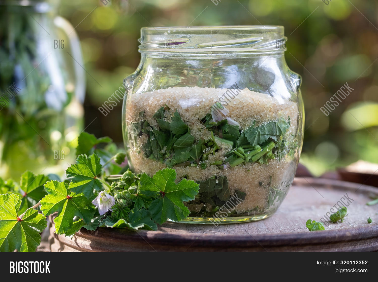 Preparation Mallow Image & Photo (Free Trial) | Bigstock