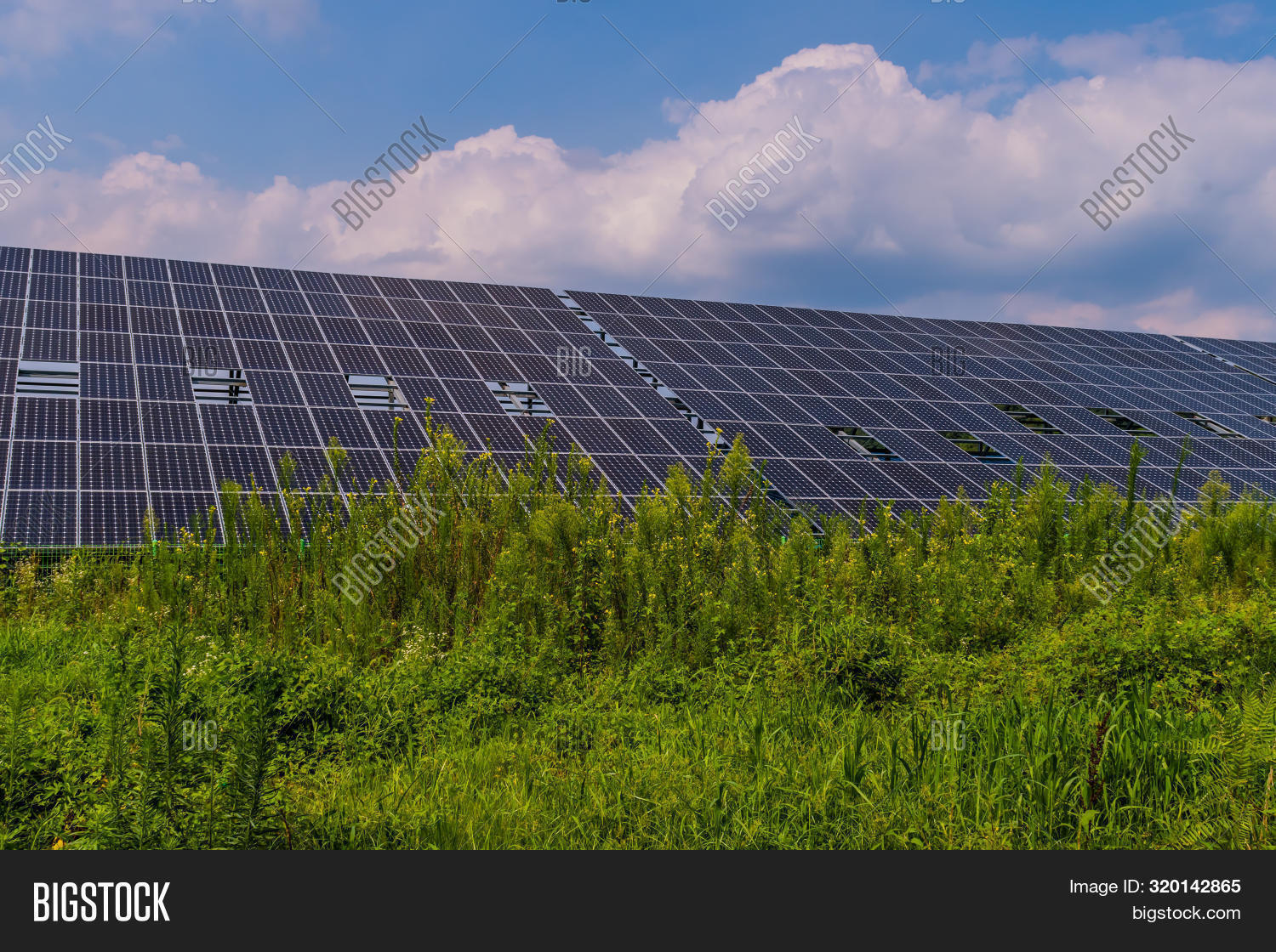 Solar Panels Behind Image & Photo (Free Trial) | Bigstock