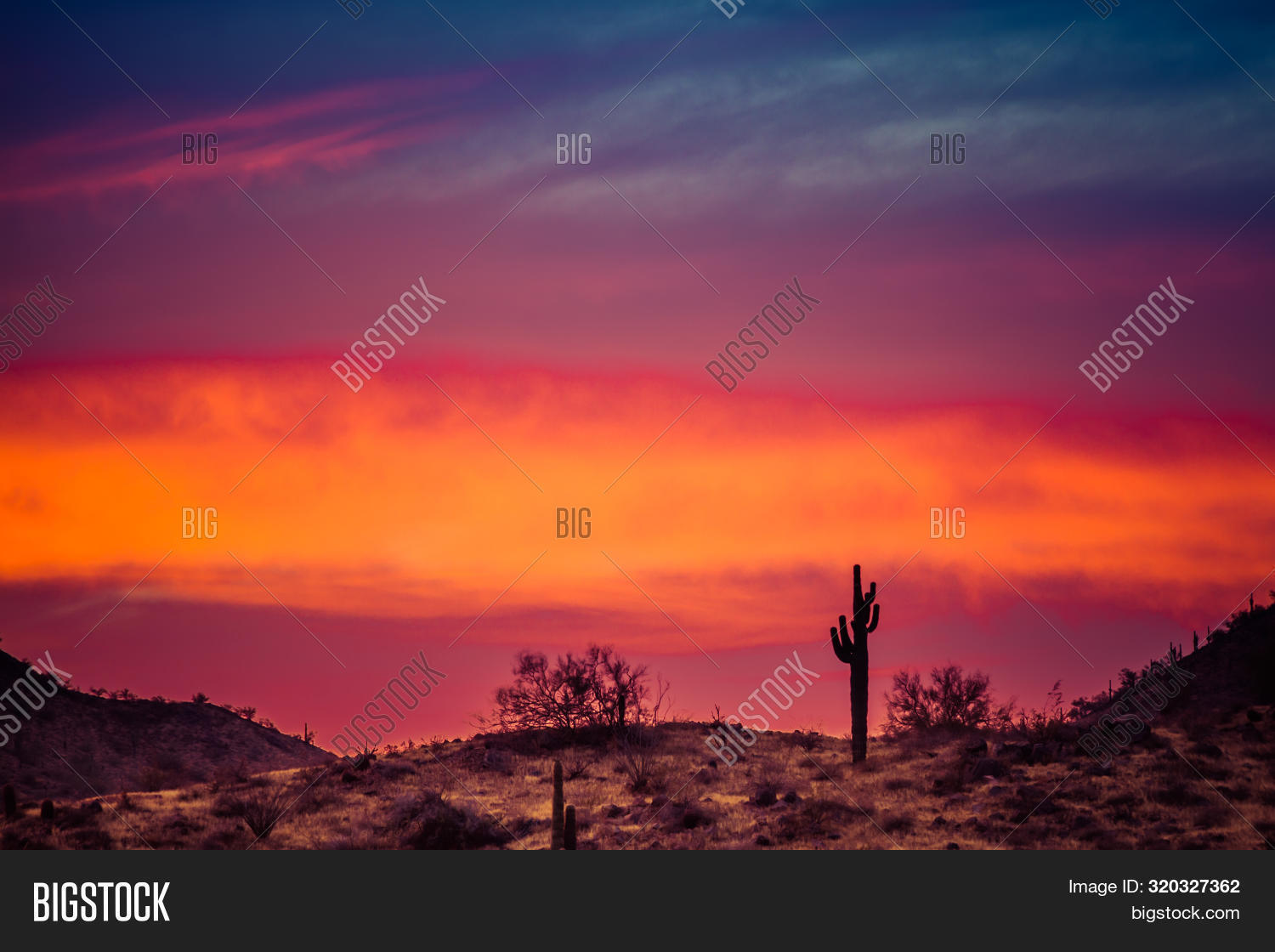 Sunset Over Saguaro Image & Photo (Free Trial) | Bigstock