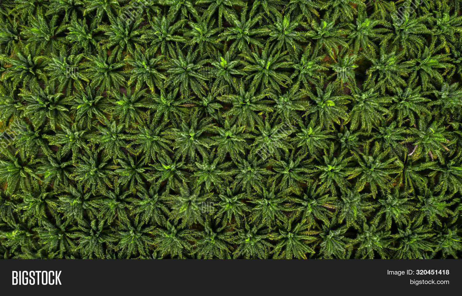 Aerial Top View On Image & Photo (Free Trial) | Bigstock