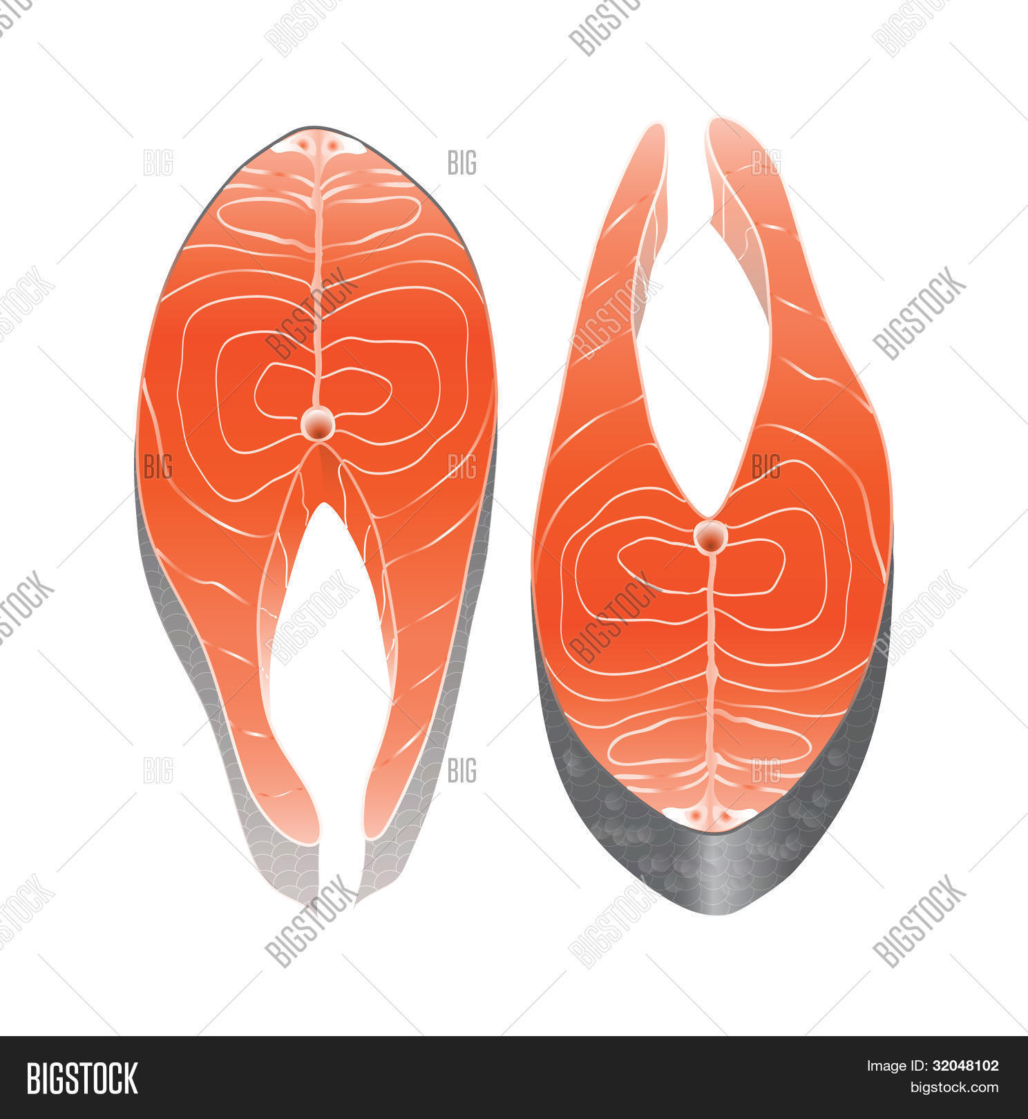 Two Cross-section Image & Photo (Free Trial) | Bigstock