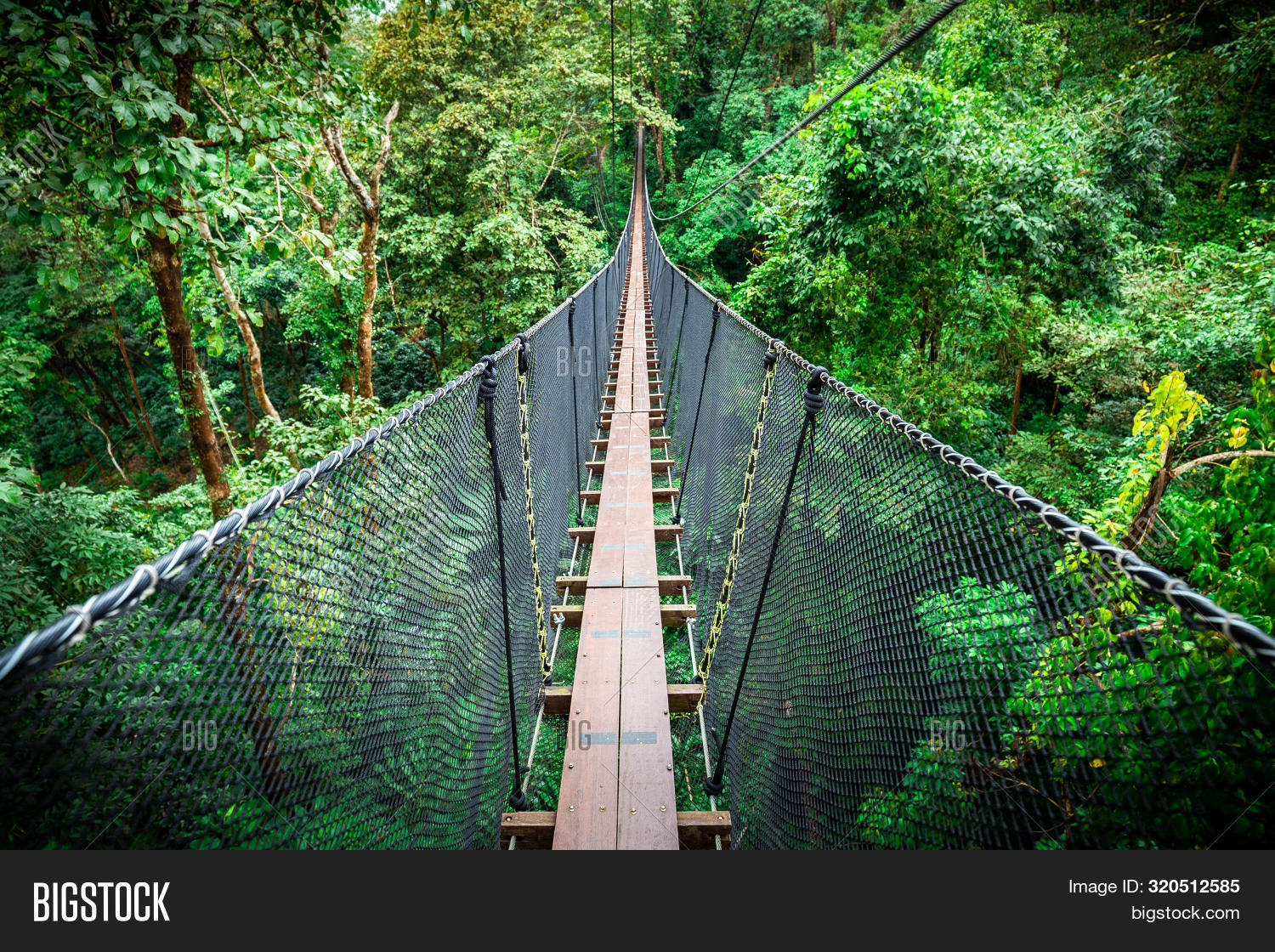 Wooden Bridge Over Top Image & Photo (Free Trial) | Bigstock