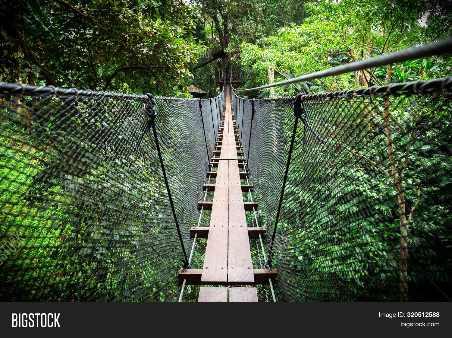 Wooden Bridge Over Top Image & Photo (Free Trial) | Bigstock