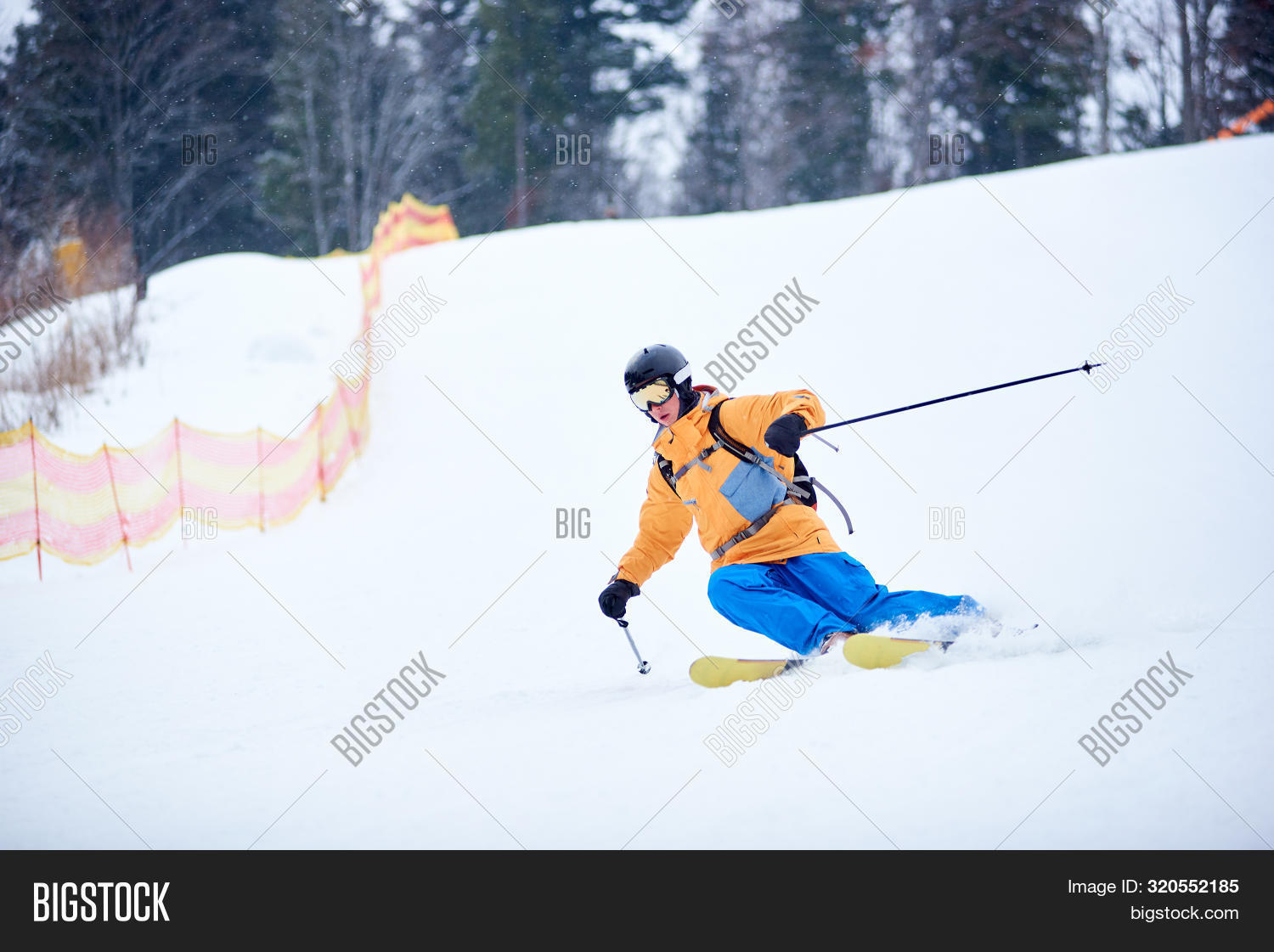 Front View Young Skier Image & Photo (Free Trial) | Bigstock