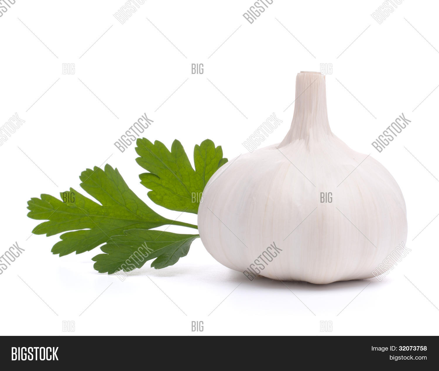 Garlic Bulb Isolated Image & Photo (Free Trial) | Bigstock