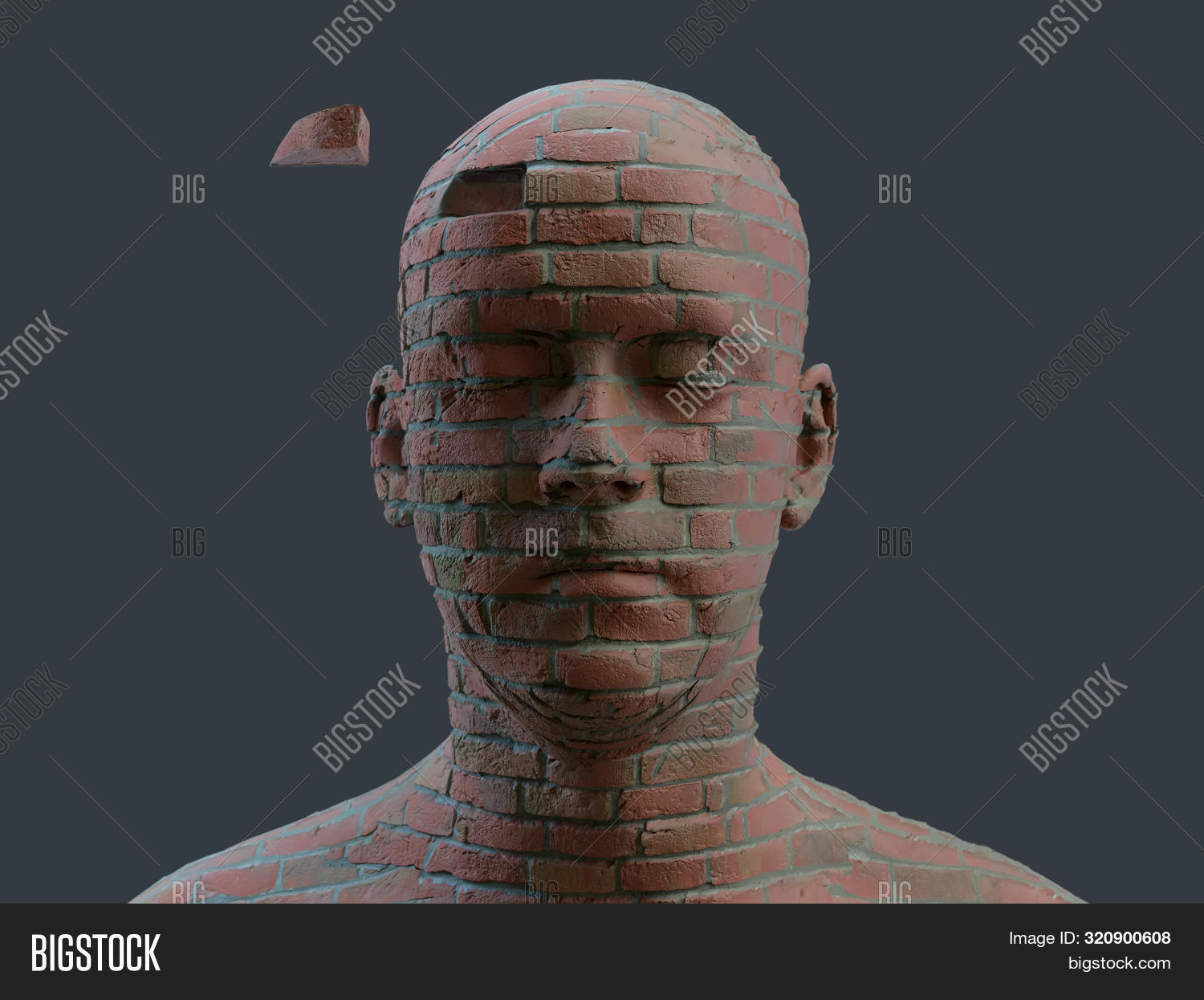 Head Man Made Brick, Image & Photo (Free Trial) | Bigstock