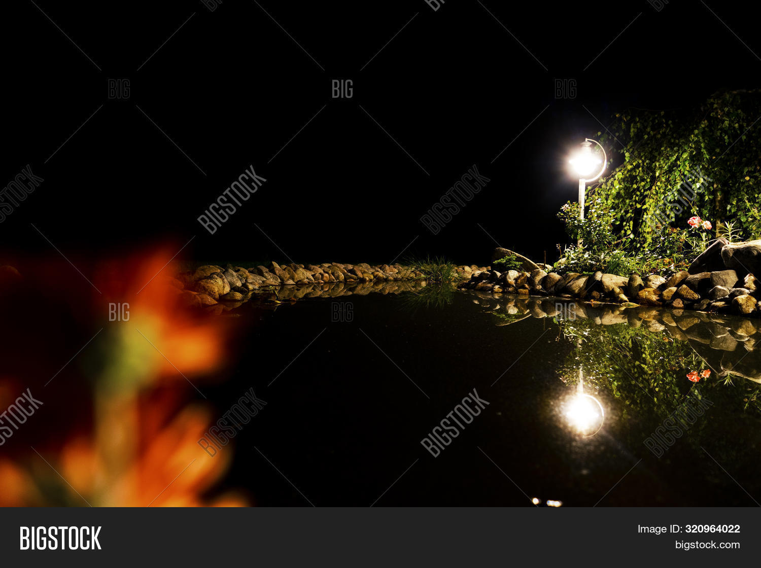 Garden Pond Night. Image & Photo (Free Trial) | Bigstock