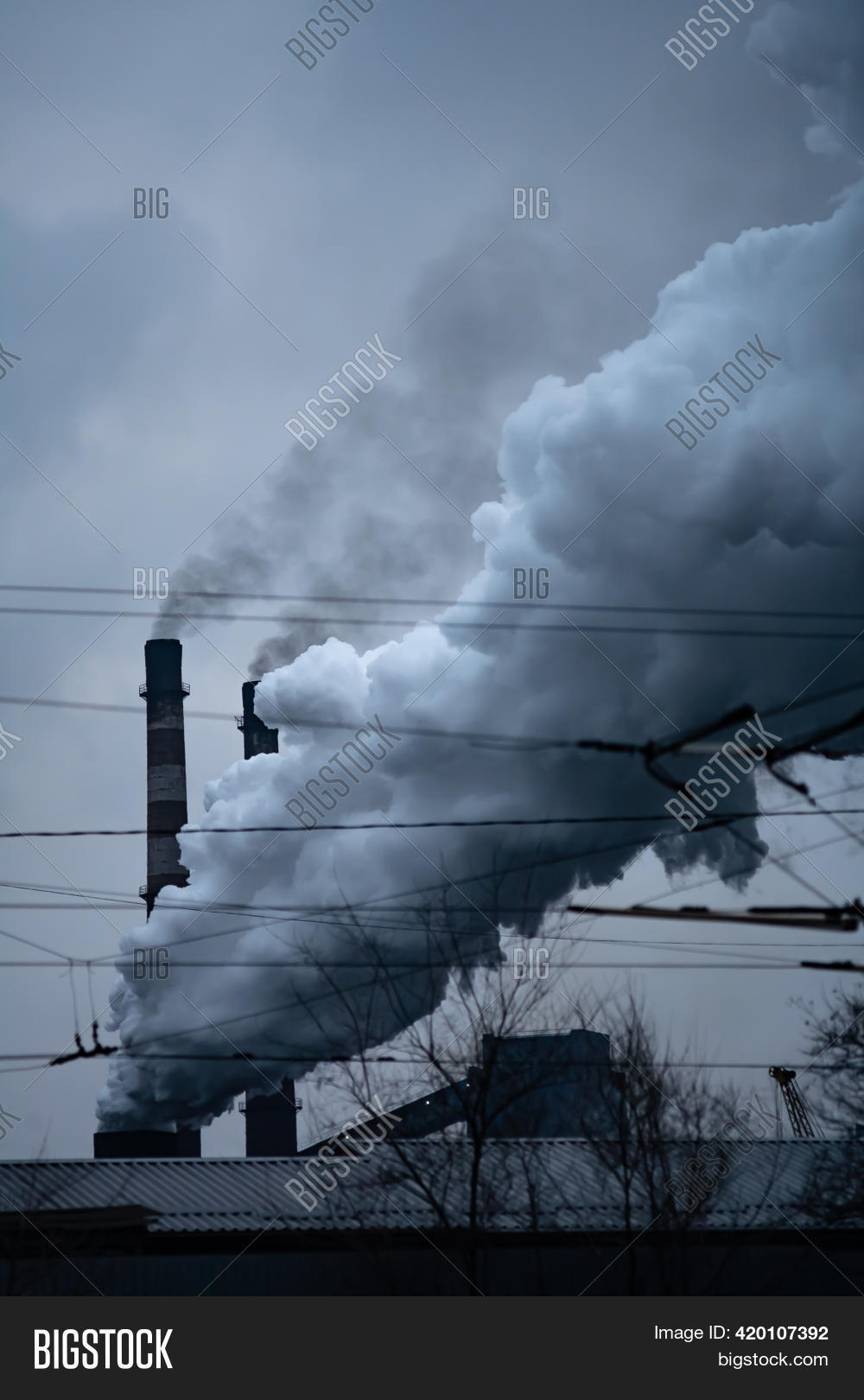 Black Factory Smoke