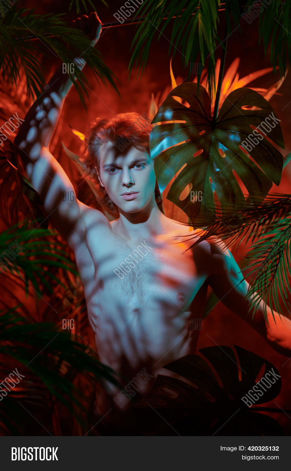 Jungle Photoshoot. Image & Photo (Free Trial) | Bigstock