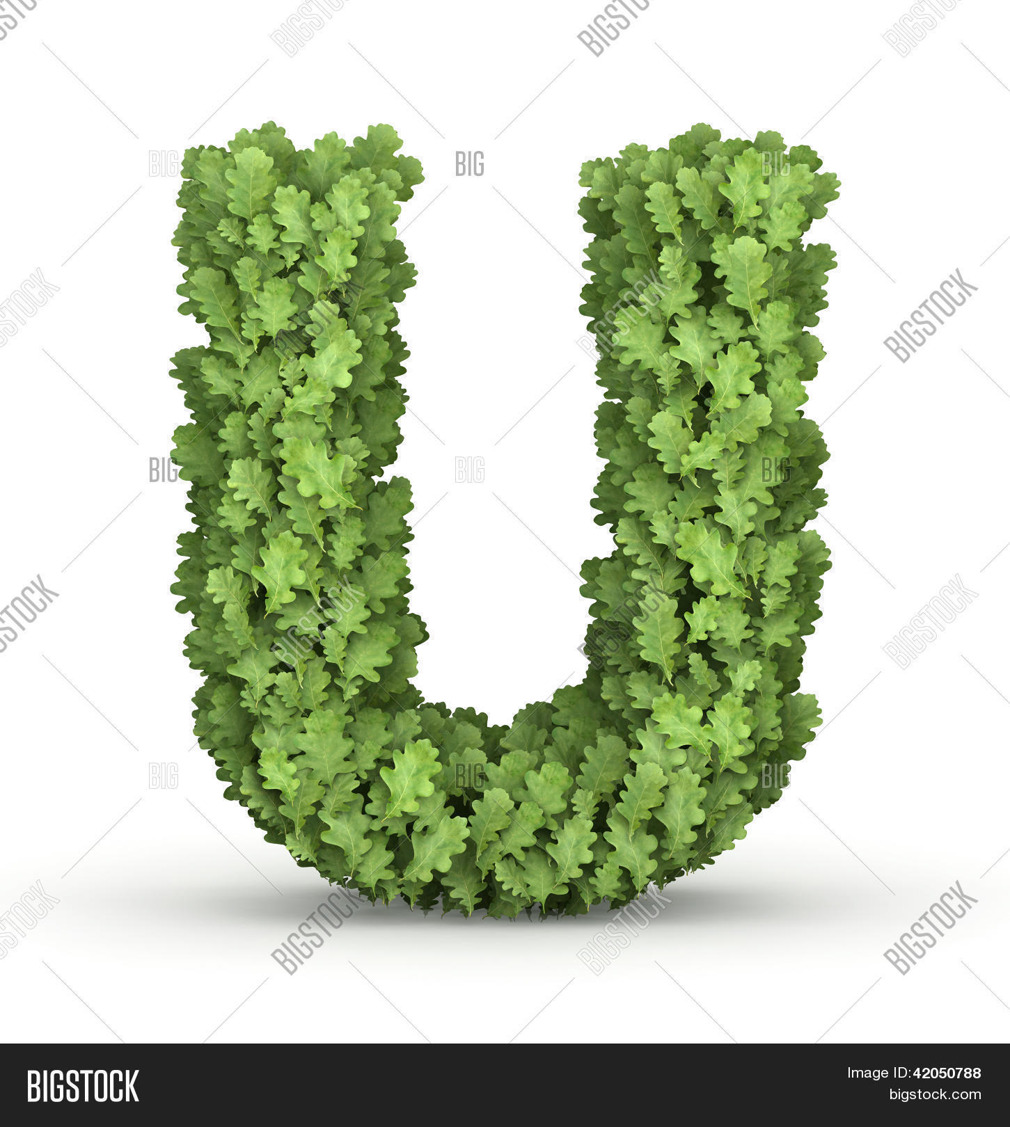 Letter U Green Leaves Image & Photo (Free Trial) | Bigstock