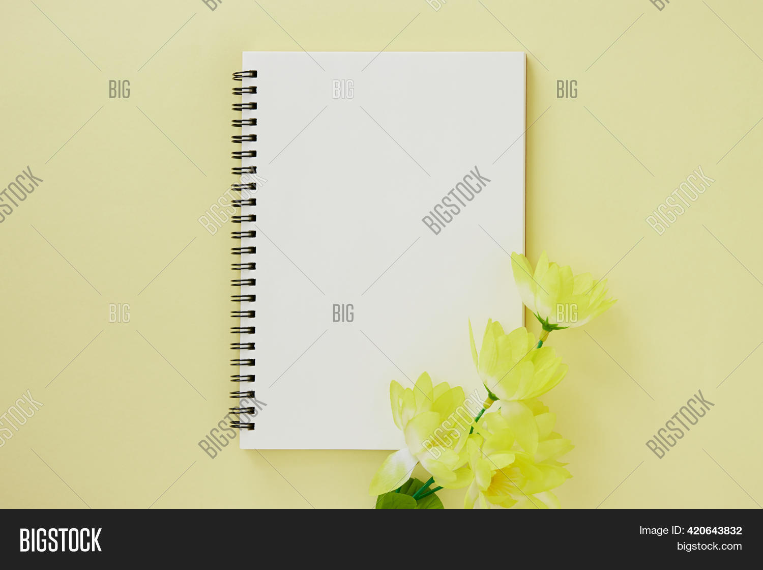 Spiral Notebook Spring Image & Photo (Free Trial) | Bigstock