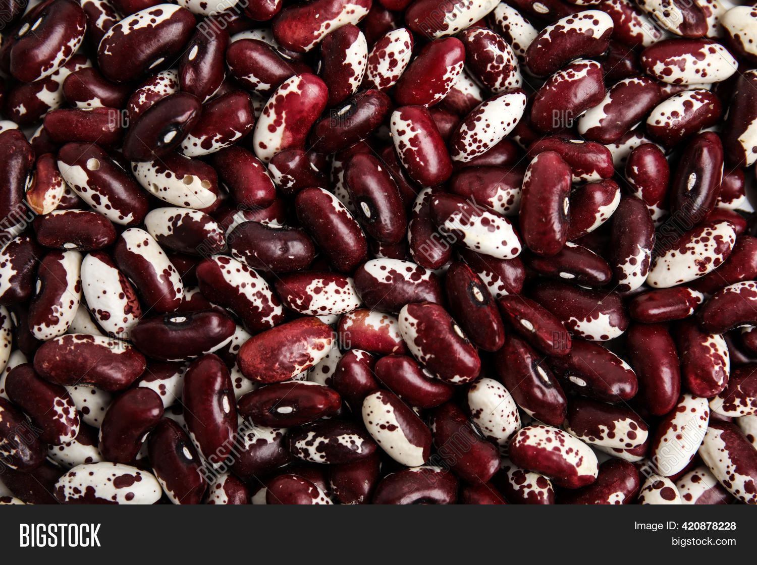Heap Raw Beans Image & Photo (Free Trial) | Bigstock