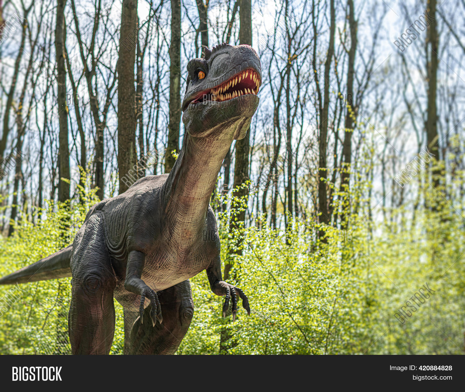 Dinosaur Jungle. Huge Image & Photo (Free Trial) | Bigstock