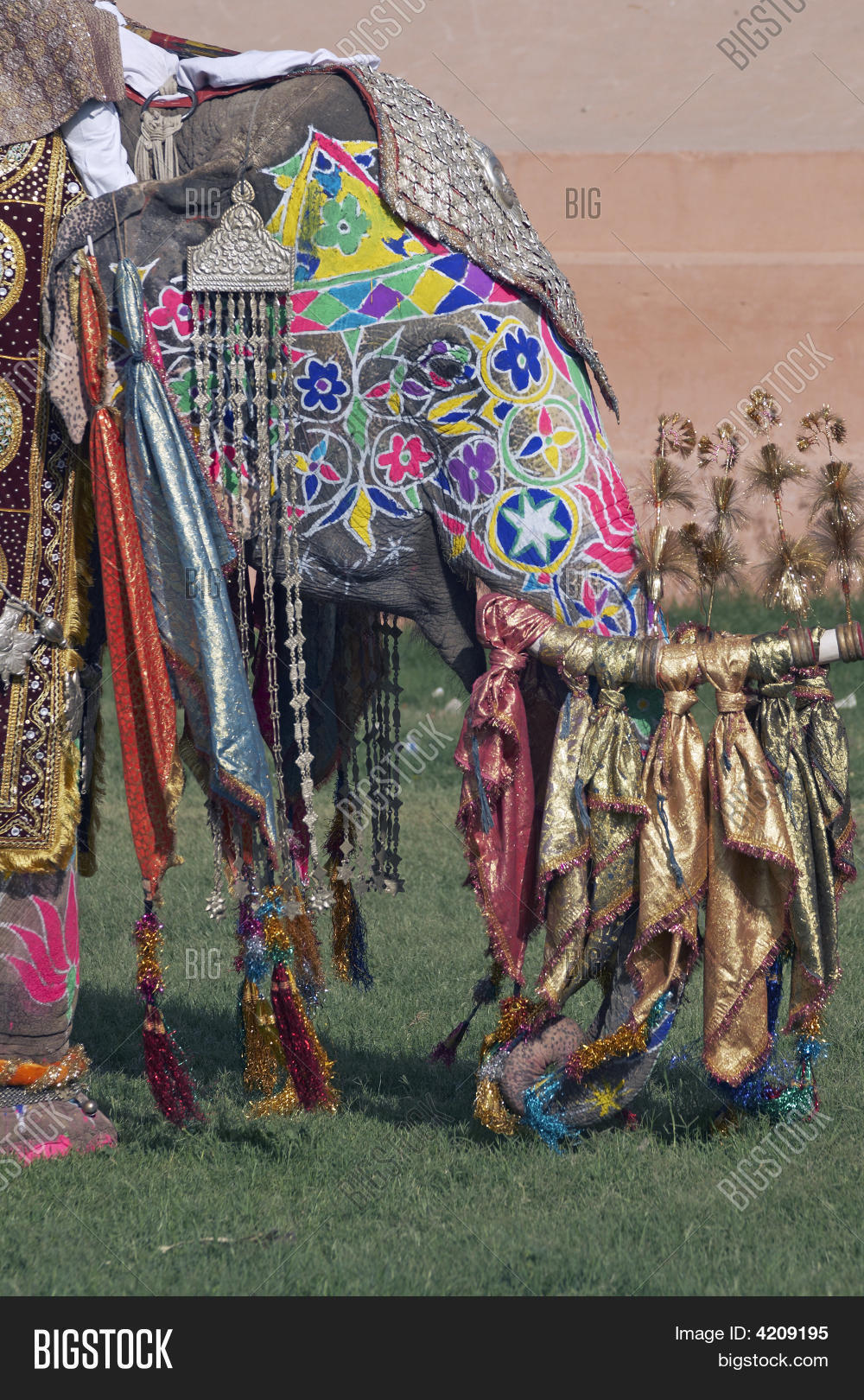 Decorated Indian Image & Photo (Free Trial) | Bigstock