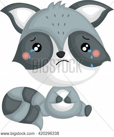 Vector Sad Raccoon Vector & Photo (Free Trial) | Bigstock