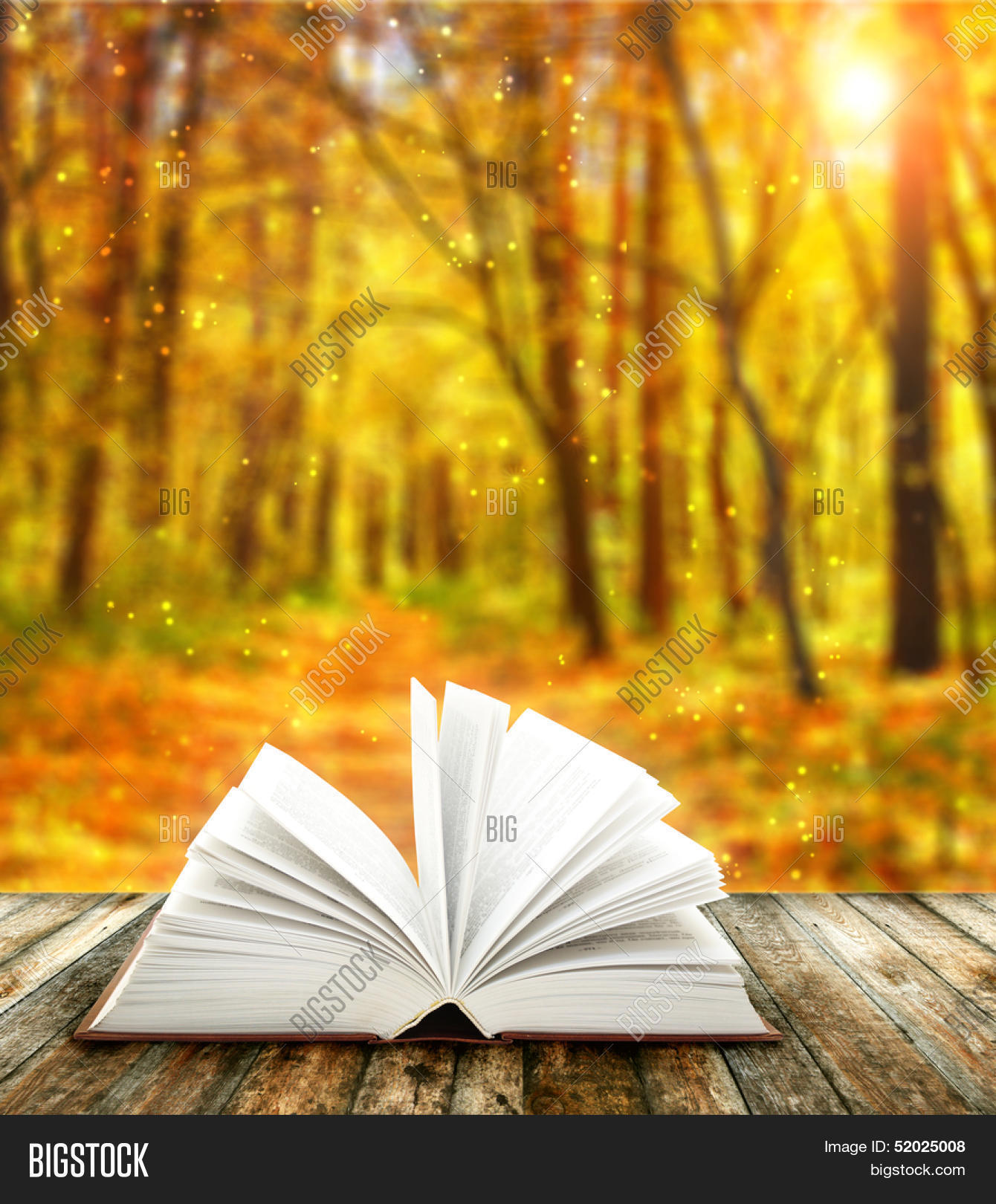 Book Nature On Autumn Image & Photo (Free Trial) | Bigstock