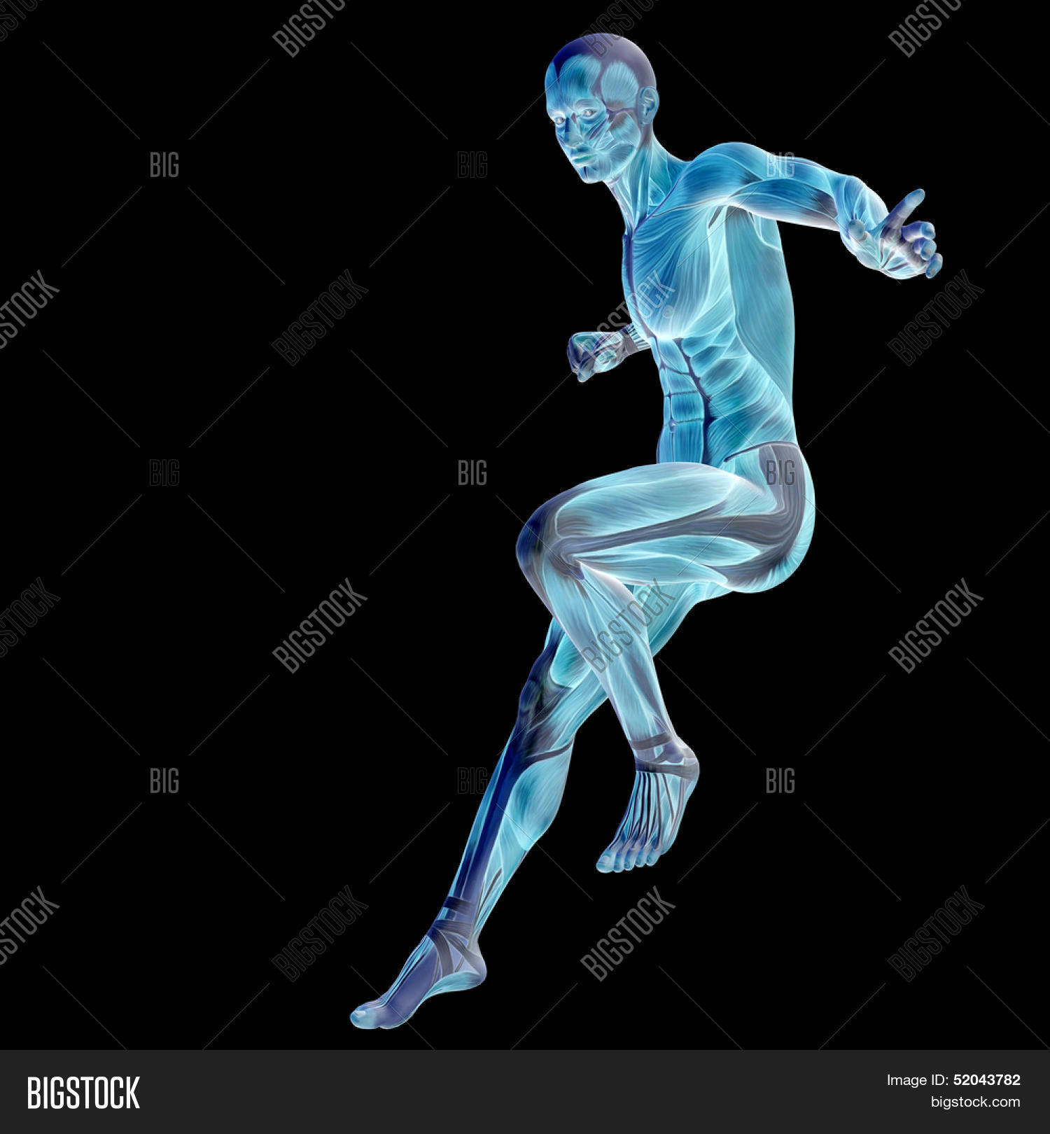 3D Human Man Muscles Image & Photo (Free Trial) | Bigstock