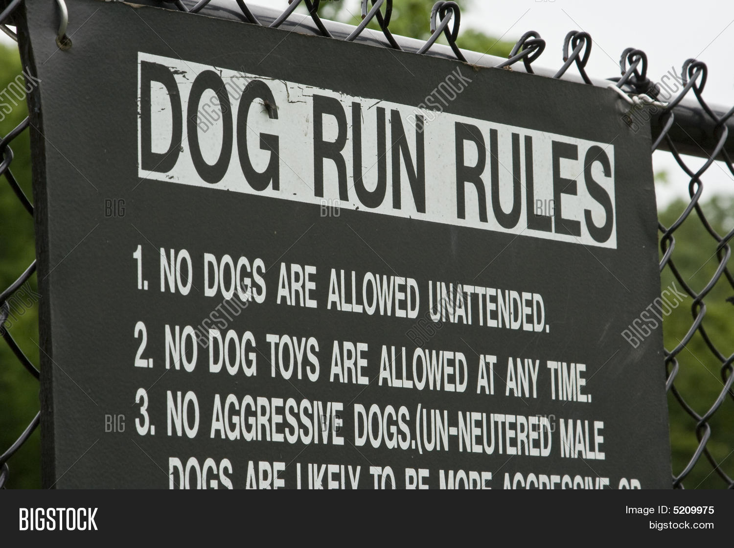 Dog Run Rules Sign Image & Photo (Free Trial) | Bigstock