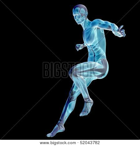 3D Human Man Muscles Image & Photo (Free Trial) | Bigstock