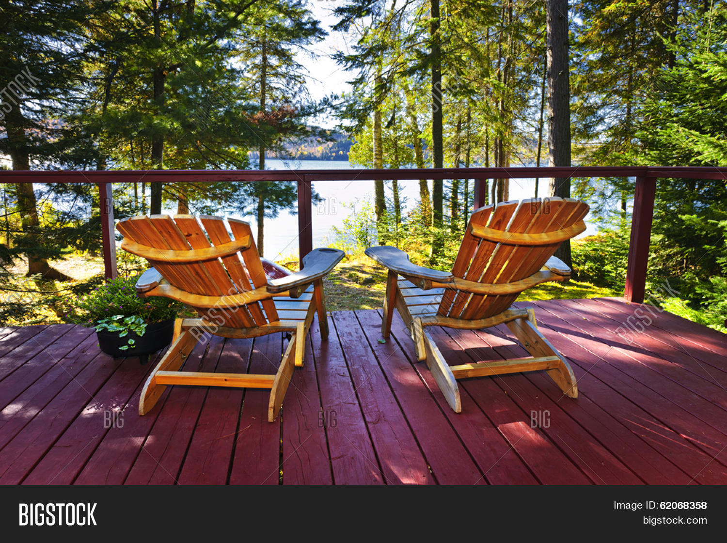 Wooden Deck Forest Image & Photo (Free Trial) | Bigstock