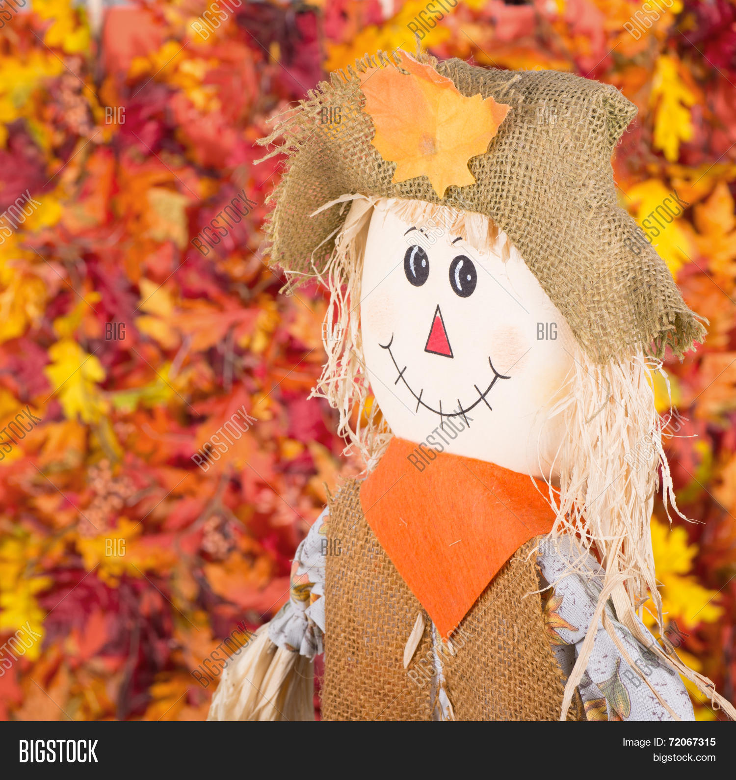 Smiling Scarecrow Image & Photo (Free Trial) | Bigstock