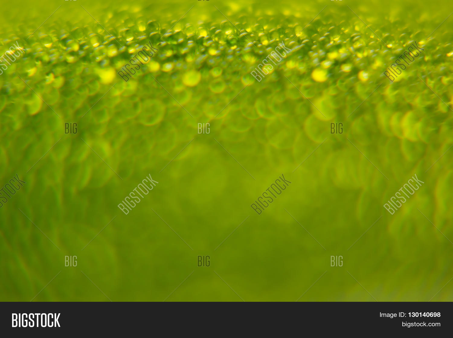 Abstract Bright Green Image & Photo (Free Trial) | Bigstock