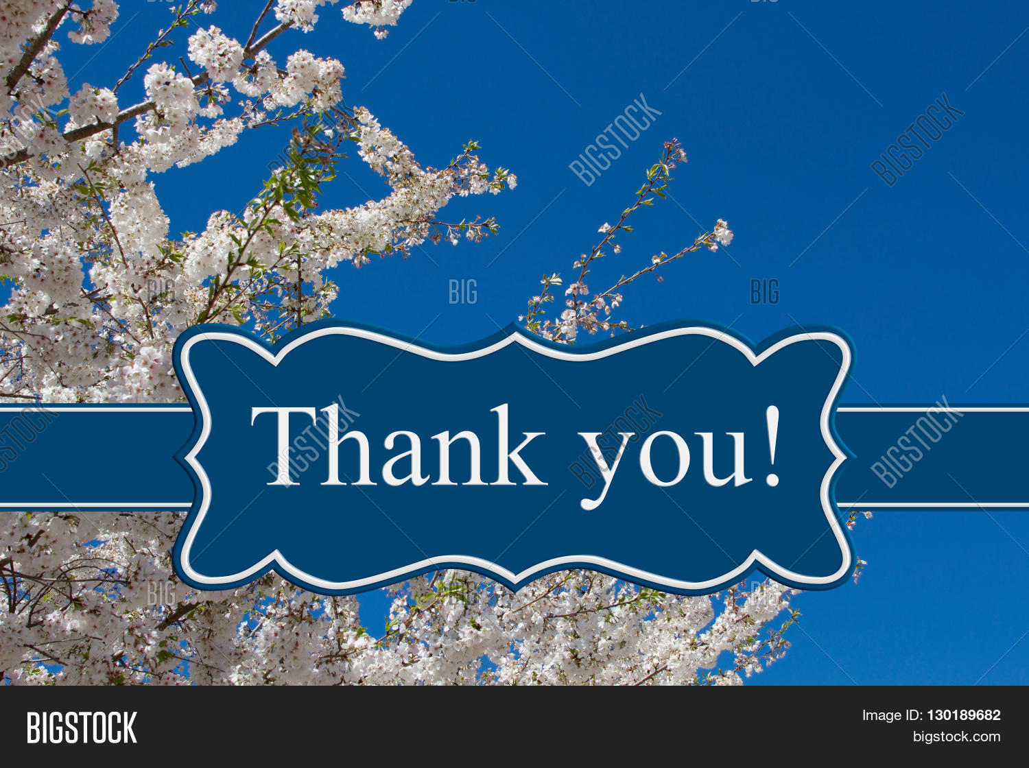 Thank You Message Tree Image & Photo (Free Trial) | Bigstock