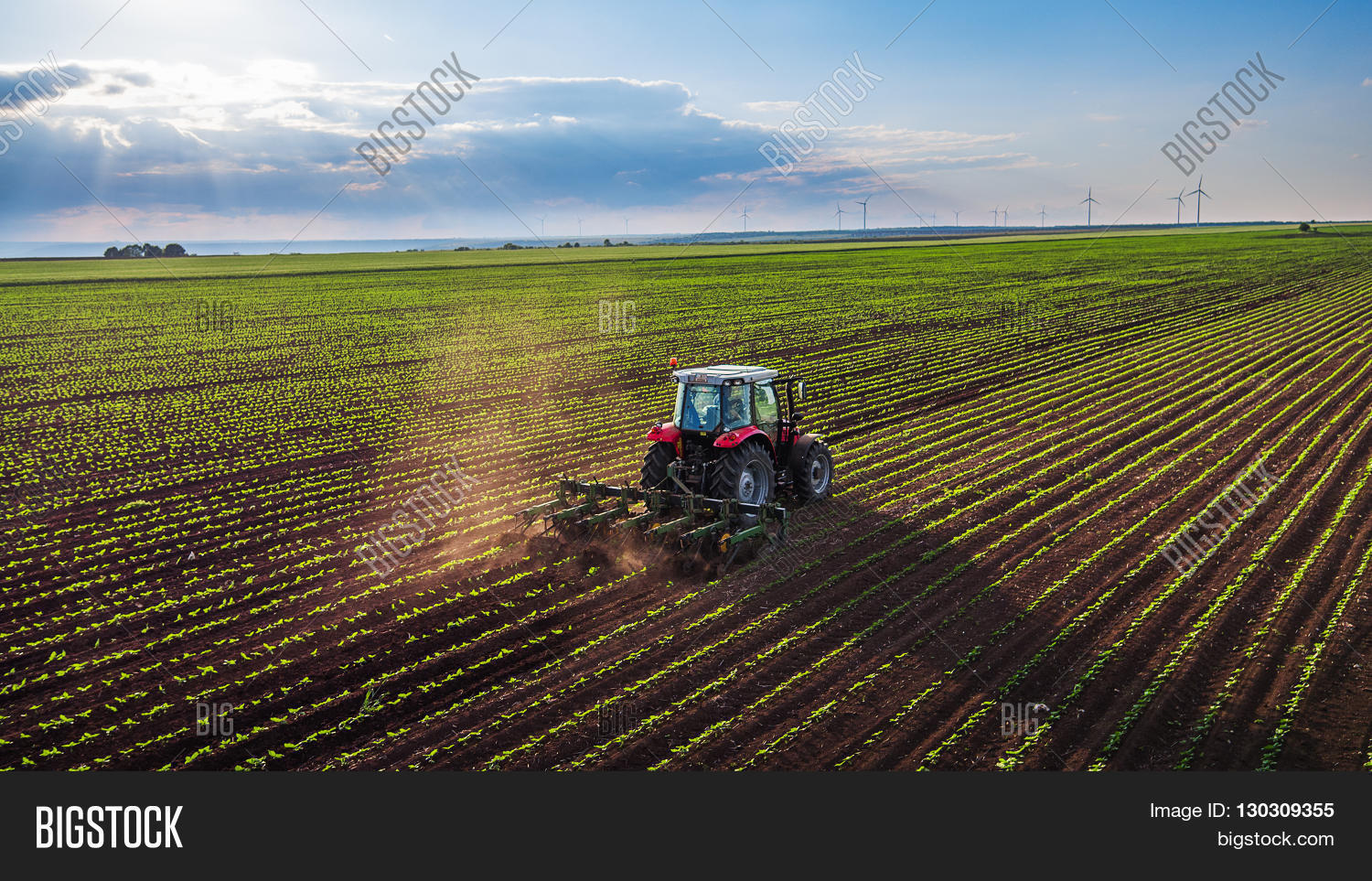 Tractor Cultivating Image & Photo (Free Trial) | Bigstock