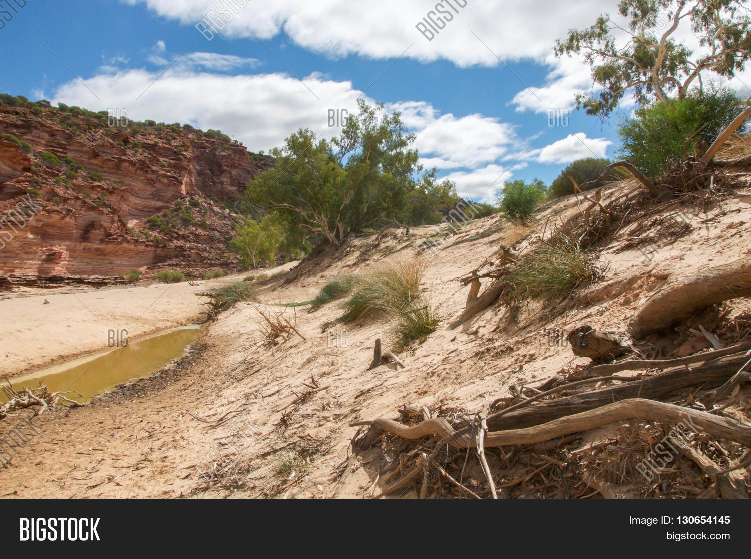 Sandy Vegetated Image & Photo (Free Trial) | Bigstock