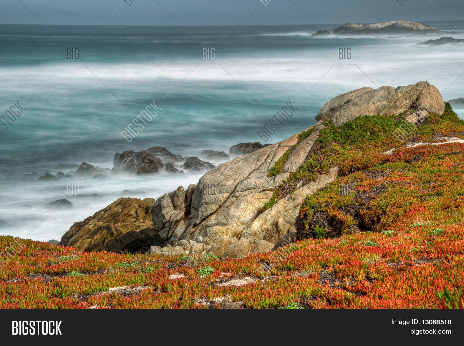 Bird Rock Image & Photo (Free Trial) | Bigstock