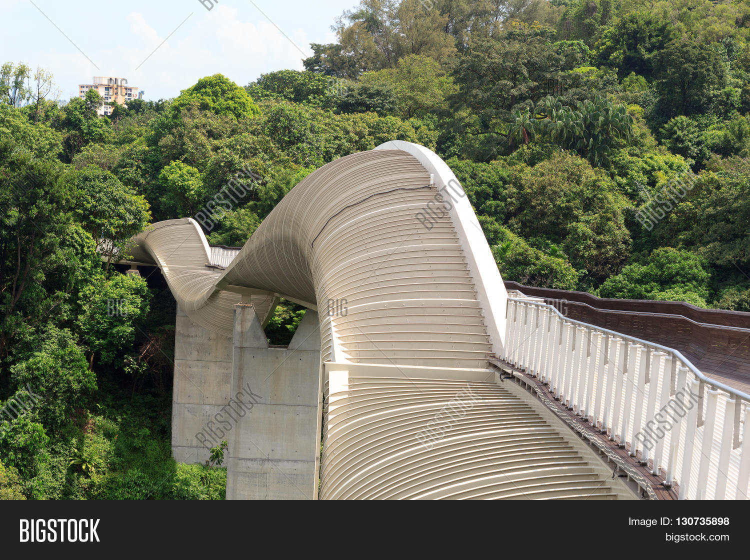 Henderson Waves Bridge Image & Photo (Free Trial) | Bigstock