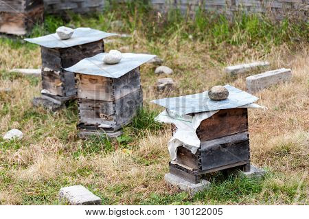 Traditional Method Image & Photo (Free Trial) | Bigstock